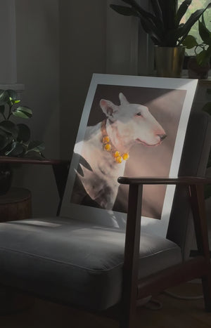 George Patton's Bull Terrier Willie - Signed Limited Edition – The Ugly ...